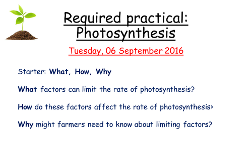 Photosynthesis required practical- New AQA GCSE Biology | Teaching ...