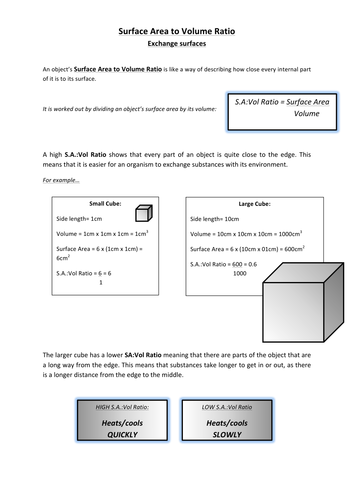 AQA Biology - L12 Exchange Surfaces | Teaching Resources
