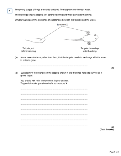 AQA Biology - L12 Exchange Surfaces | Teaching Resources
