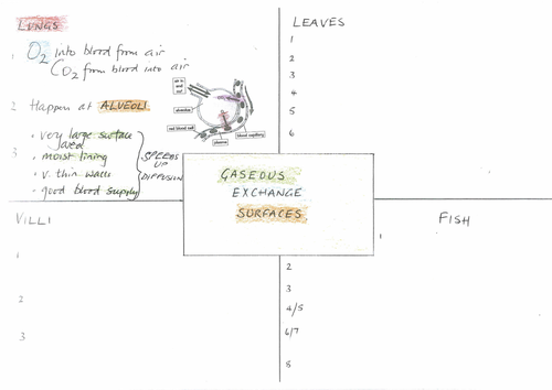 AQA Biology - L12 Exchange Surfaces | Teaching Resources
