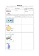 Specialised cells structure/adaptation table | Teaching Resources