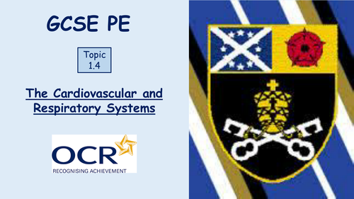 GCSE PE: Cardiovascular and Respiratory System | Teaching Resources