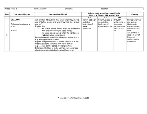 Using A or An Correctly Lesson Plan, Worksheet and Extension | Teaching ...