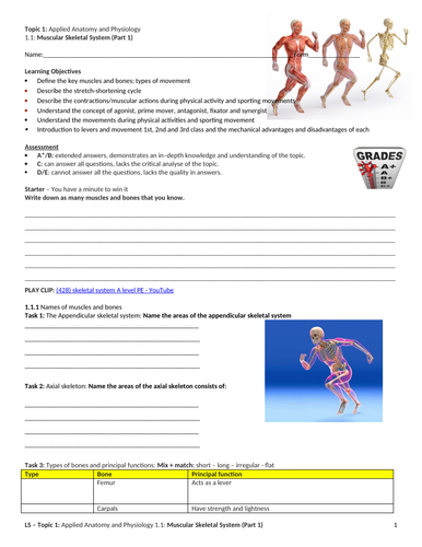 A-level PE EDEXCEL (Spec 2016) 1.1: Muscular Skeletal System (Part 1 ...