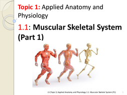 A-level PE EDEXCEL (Spec 2016) 1.1: Muscular Skeletal System (Part 1 ...