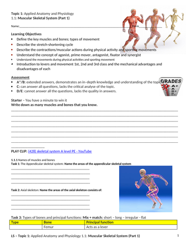 A-level PE EDEXCEL (Spec 2016) 1.1: Muscular Skeletal System (Part 1 ...