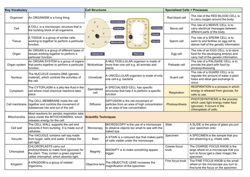 KS3 Cells and Organisation - Scheme of Work + Knowledge Organiser ...