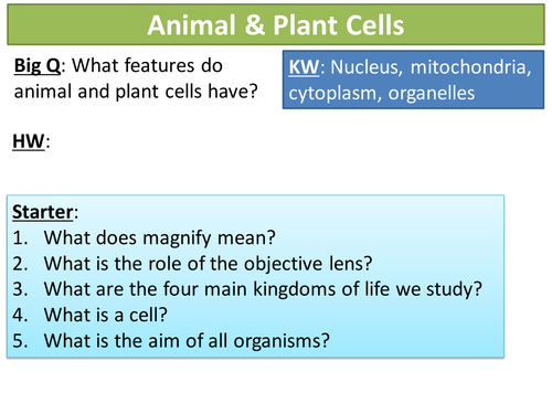 KS3 Cells & Organisation 5-6 Animal & Plant Cells | Teaching Resources