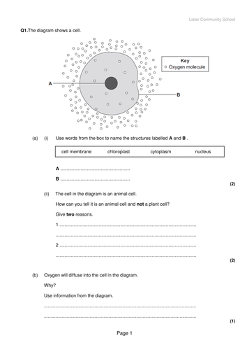 KS3 Cells & Organisation 12-13 Diffusion | Teaching Resources