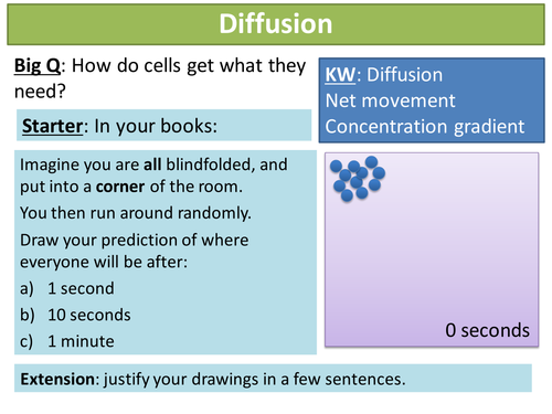 KS3 Cells & Organisation 12-13 Diffusion | Teaching Resources