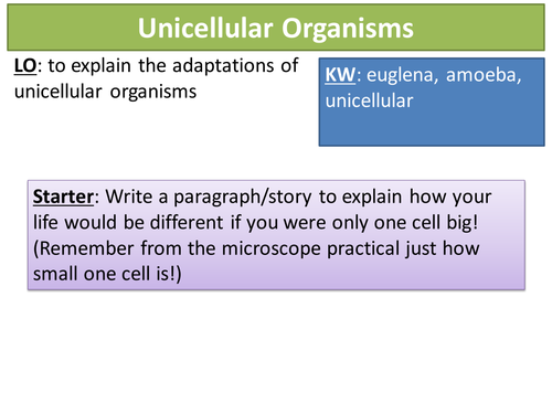 KS3 Cells & Organisation 14-15 Unicellular Organisms | Teaching Resources