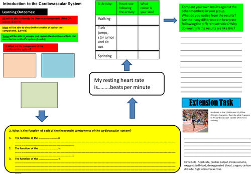 Year 7/8 Short term effects of exercise on the cardiovascular system ...