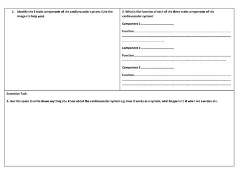 Year 7/8 Short term effects of exercise on the cardiovascular system ...