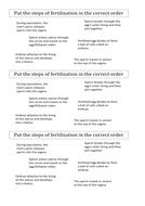 Reproduction KS3 SOW | Teaching Resources