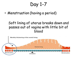 Reproduction KS3 SOW | Teaching Resources