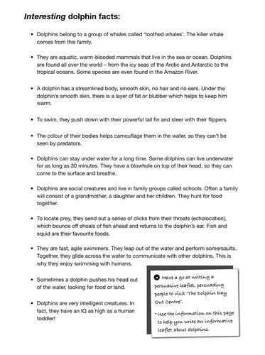 Dolphin Day Out: Brush Up On Your Writing Skills (Creative Writing ...