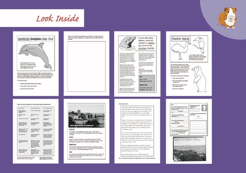 Dolphin Day Out: Brush Up On Your Writing Skills (Creative Writing ...