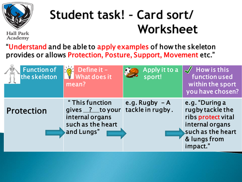 OCR Six Functions of the skeleton - Card sort Activity | Teaching Resources
