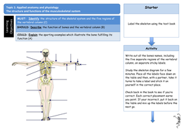 2016 GCSE PE EDEXCEL Skeleton and vertebrae | Teaching Resources