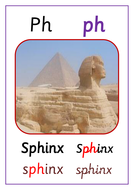 Digraph flashcards - wh ph sh ch th ng and ck | Teaching Resources