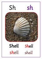 Digraph flashcards - wh ph sh ch th ng and ck | Teaching Resources