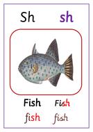 Digraph flashcards - wh ph sh ch th ng and ck | Teaching Resources