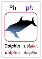 Digraph flashcards - wh ph sh ch th ng and ck | Teaching Resources