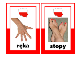 POLISH LANGUAGE TEACHING RESOURCES display posters flashcards colours ...