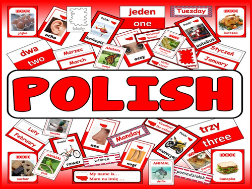 *POLISH BUNDLE* LANGUAGE AND CULTURE SET, POLAND, GEOGRAPHY, DISPLAY ...