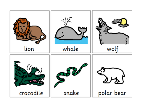 Walking through the jungle | Teaching Resources