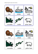 Walking through the jungle | Teaching Resources