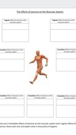 GCSE PE AQA New 2016 muscular & skeletal system | Teaching Resources
