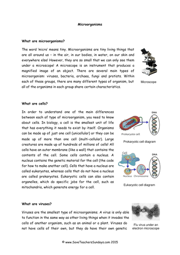 Bacteria and Viruses KS2 Lesson Plan, Information Text and Worksheet ...