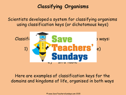 Classification keys KS2 Lesson Plan, PowerPoint and Worksheet ...