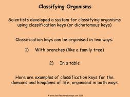 Classification keys KS2 Lesson Plan, PowerPoint and Worksheet ...