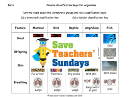 Classification keys KS2 Lesson Plan, PowerPoint and Worksheet ...