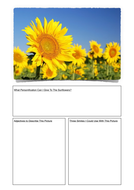 Writing Resources For KS2/3 | Teaching Resources