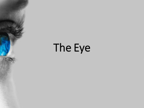 KS4 AQA GCSE Biology (Science) The Eye Lesson & Activities | Teaching ...
