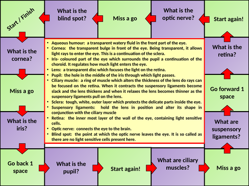 KS4 AQA GCSE Biology (Science) The Eye Lesson & Activities | Teaching ...