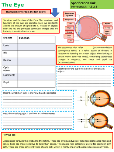 KS4 AQA GCSE Biology (Science) The Eye Lesson & Activities | Teaching ...