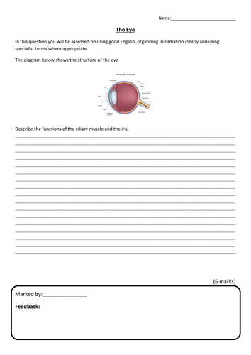 KS4 AQA GCSE Biology (Science) The Eye Lesson & Activities | Teaching ...