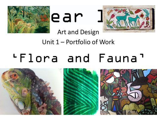 Flora & Fauna - KS4 GCSE Unit of Work - Concertina Sketchbook - Drawing ...