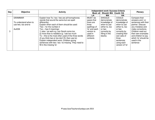 Using Too, Two and To Lesson Plan and Worksheet | Teaching Resources
