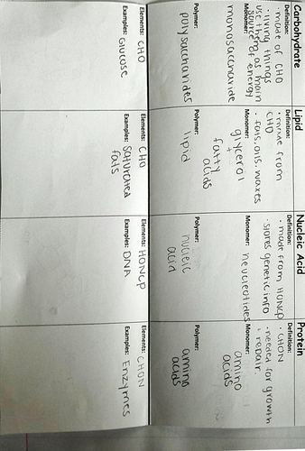 2.3 Macromolecules, Graphic Organizer foldable, Guided notes and ...