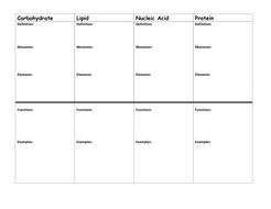 2.3 Macromolecules, Graphic Organizer foldable, Guided notes and ...