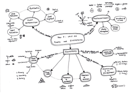 Mind Maps for the whole year of Year 7 Science | Teaching Resources