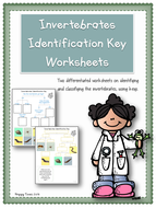 Invertebrate Animals Classification Identification Key Worksheets ...