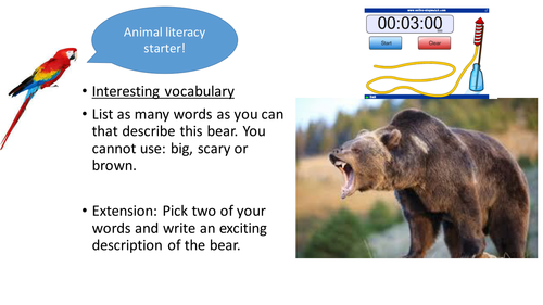 Literacy Starters with animal theme | Teaching Resources