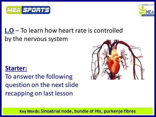 New spec 2016: Neural control of heart rate (BTEC level 3 sport and ...