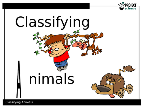 Classifying Animals PowerPoint Presentation | Teaching Resources